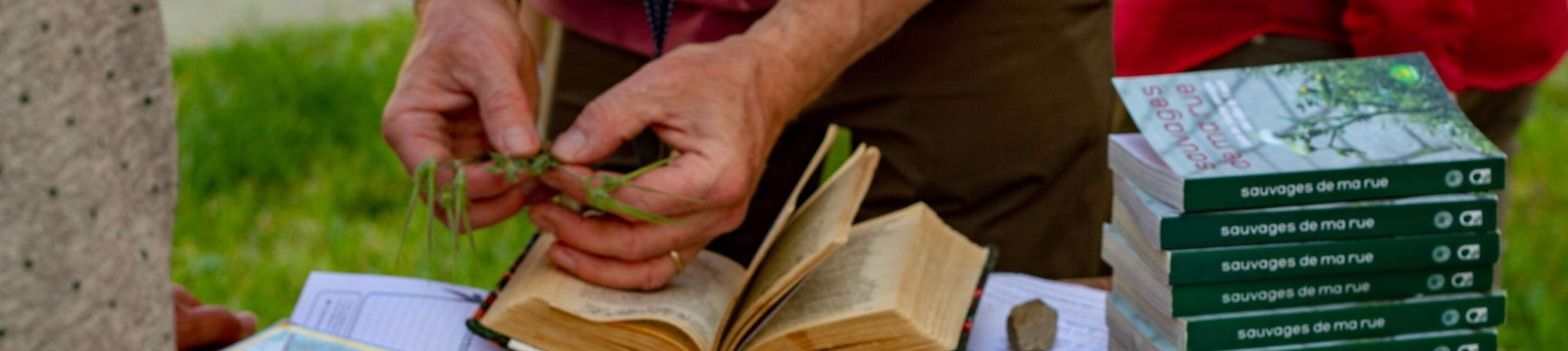 Monter un projet de sciences participatives en 10 conseils - Instant ...