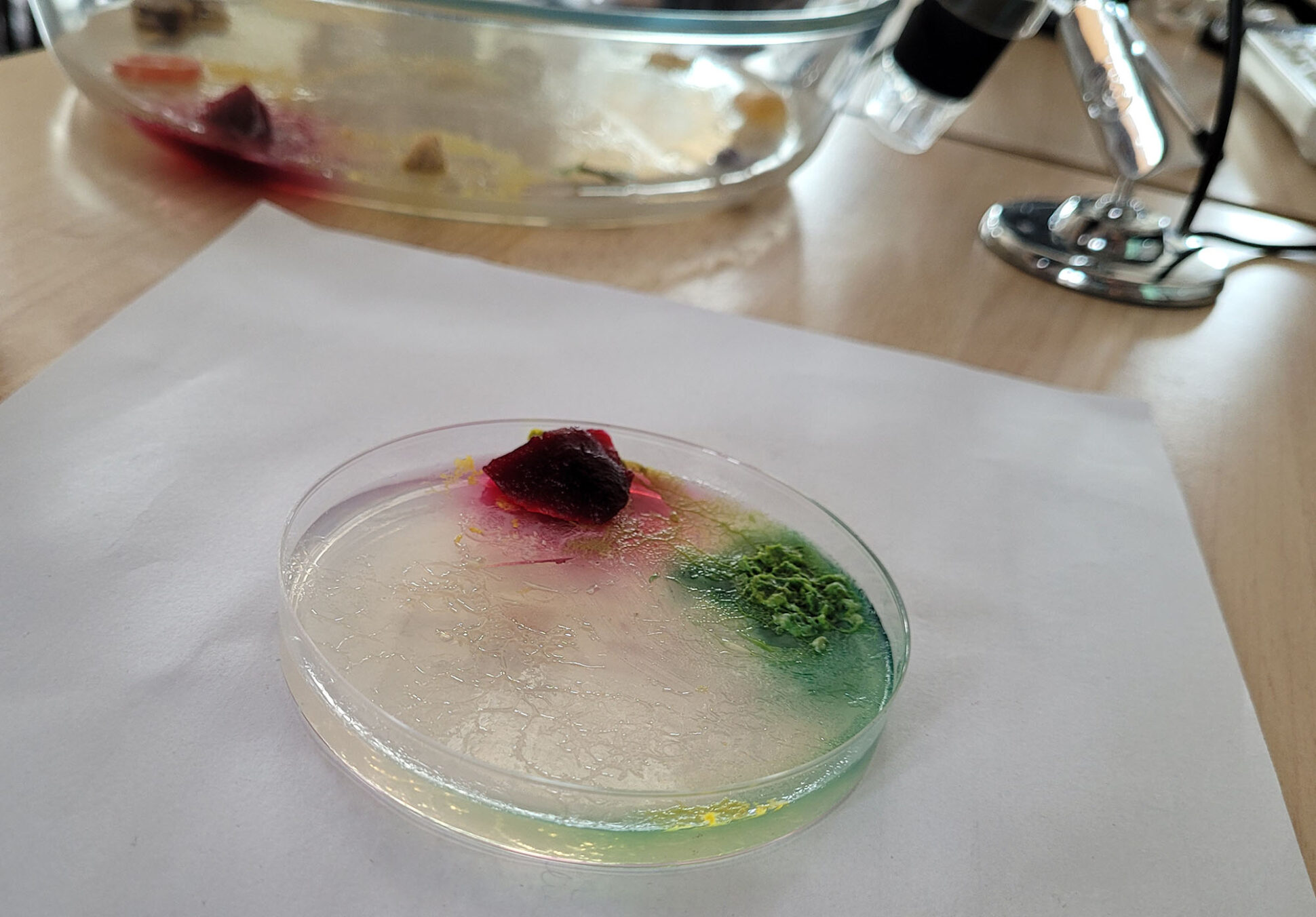 Journée "starting Blob" - Instant Science