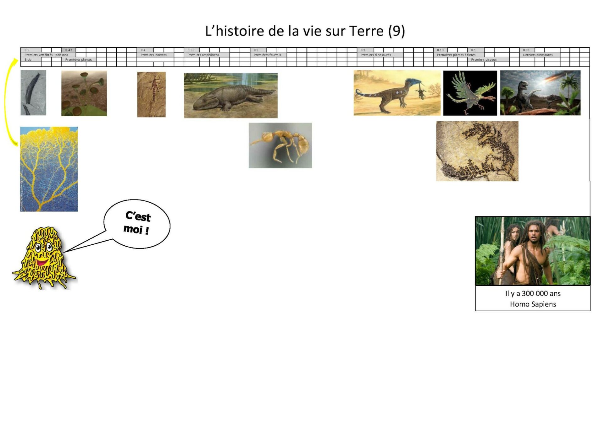 Réaliser une frise sur l'histoire du Blob et de la vie sur Terre ...