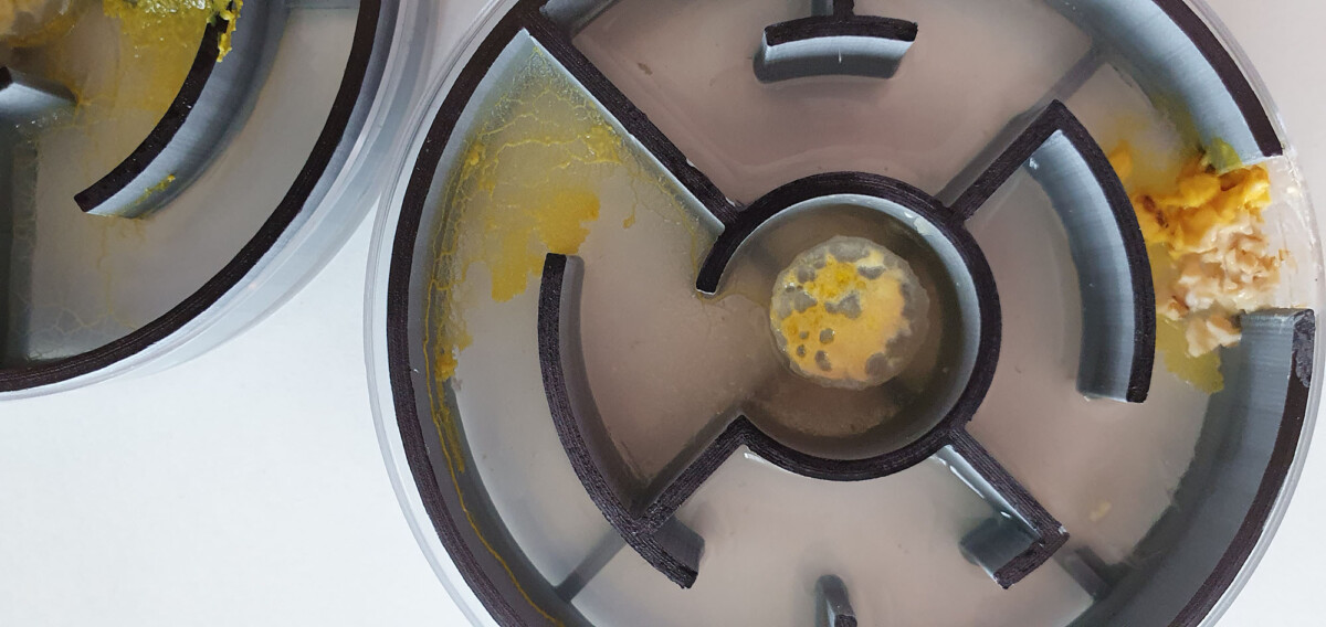 Journée "starting Blob" - Instant Science