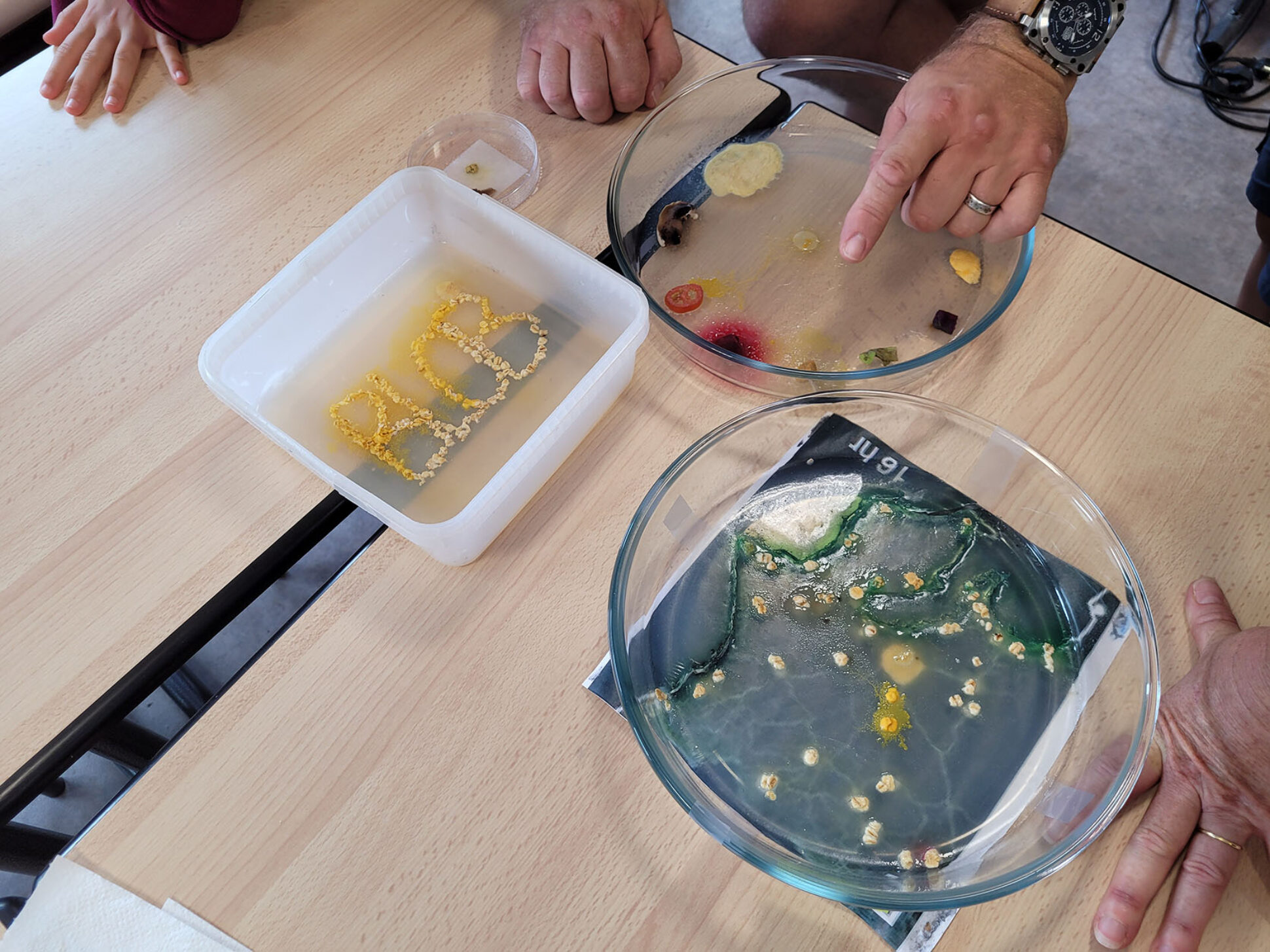 Le blob, créature d’instruction massive ! - Instant Science